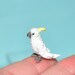 Miniature Cockatoo Parrot - Miniature Cockatoo Dollhouse Parrot ...