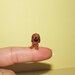Miniature Dachshund Miniature Dog 1 Inch Miniature Doxie - Etsy