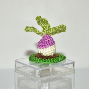 Handmade Turnip Crochet Turnip Home Decoration Extremely Micro Girl ...