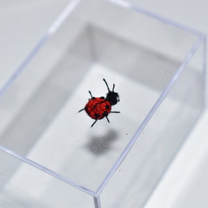 Miniature Ladybug Micro Ladybug Crochet Ladybug Miniature Ladybird ...