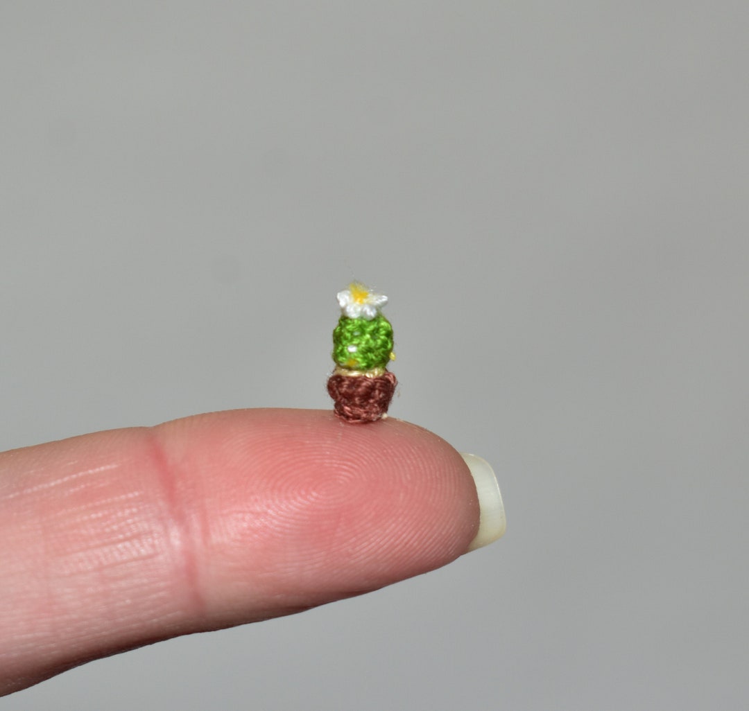 Extremely Micro Cactus 0.4" Cactus Miniature Succulent Plant Miniature ...