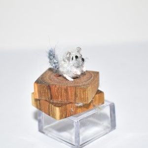 Miniature Chinchilla Micro Crochet Chinchilla Dollhouse Miniature Pet ...