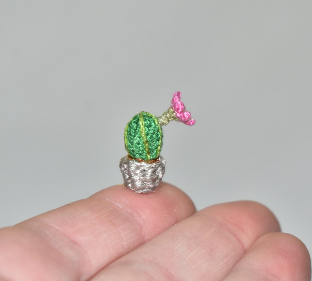 Miniature Pink Cereus Cactus Miniature Succulent Plant Miniature ...