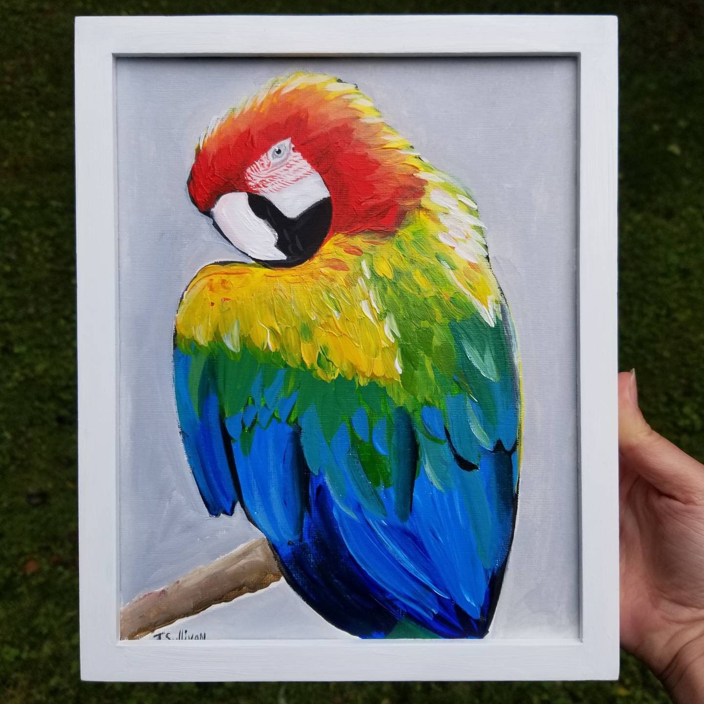 Scarlet Macaw Parrot Original Painting Bird Lovers Gifts - Etsy