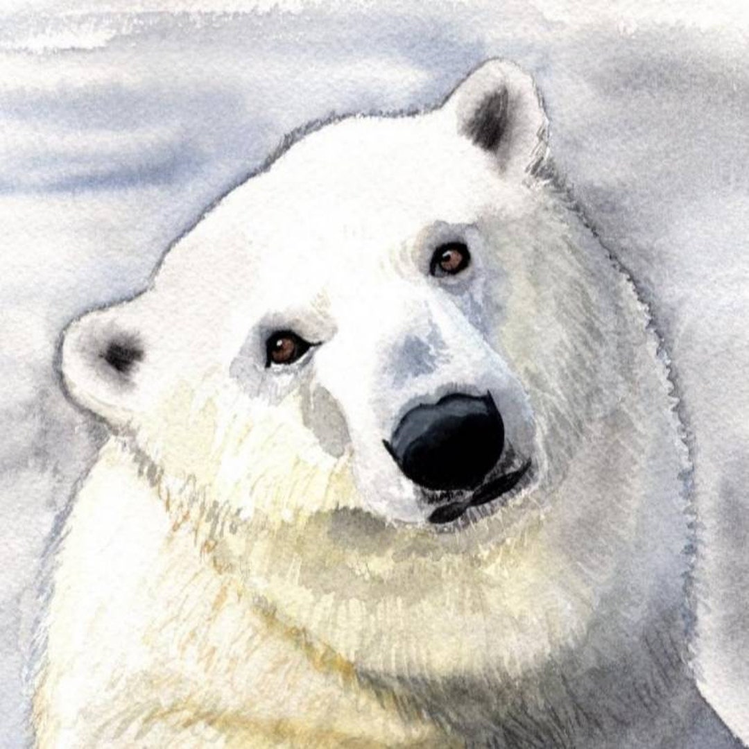 Polar Bear Art, Original Bear Painting, Polar Bear Gift, Wildlife ...