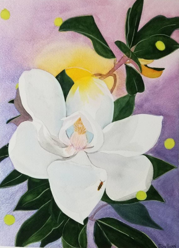 Magnolia Tree Painting Easy Watercolor Magnolias: Botanical