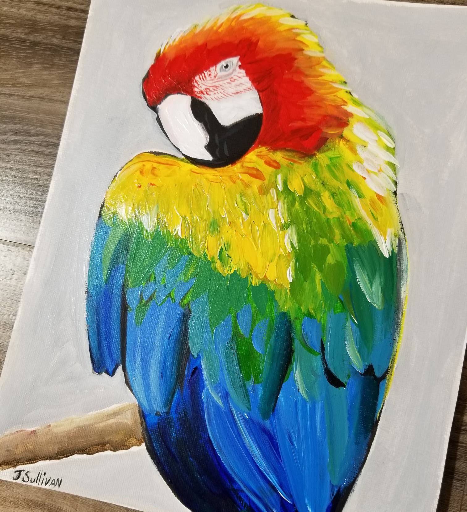 Scarlet Macaw Parrot Original Painting Bird Lovers Gifts - Etsy