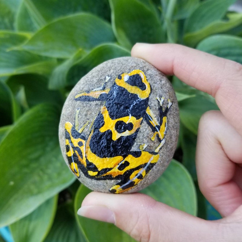 Frog on a Rock - Etsy