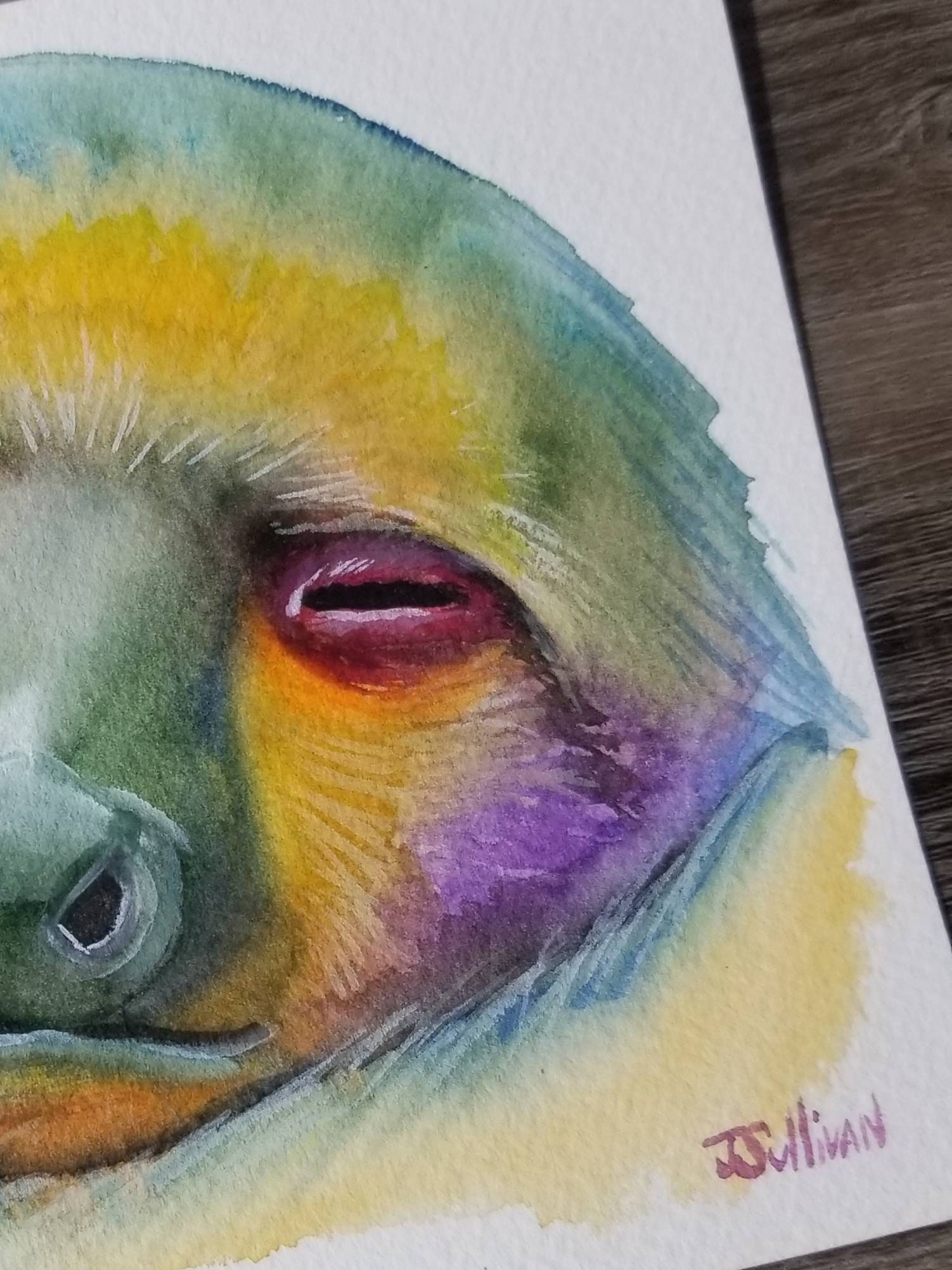 Sloth Painting Sleeping Sloth Sloth Decor Nursery Rainbow | Etsy