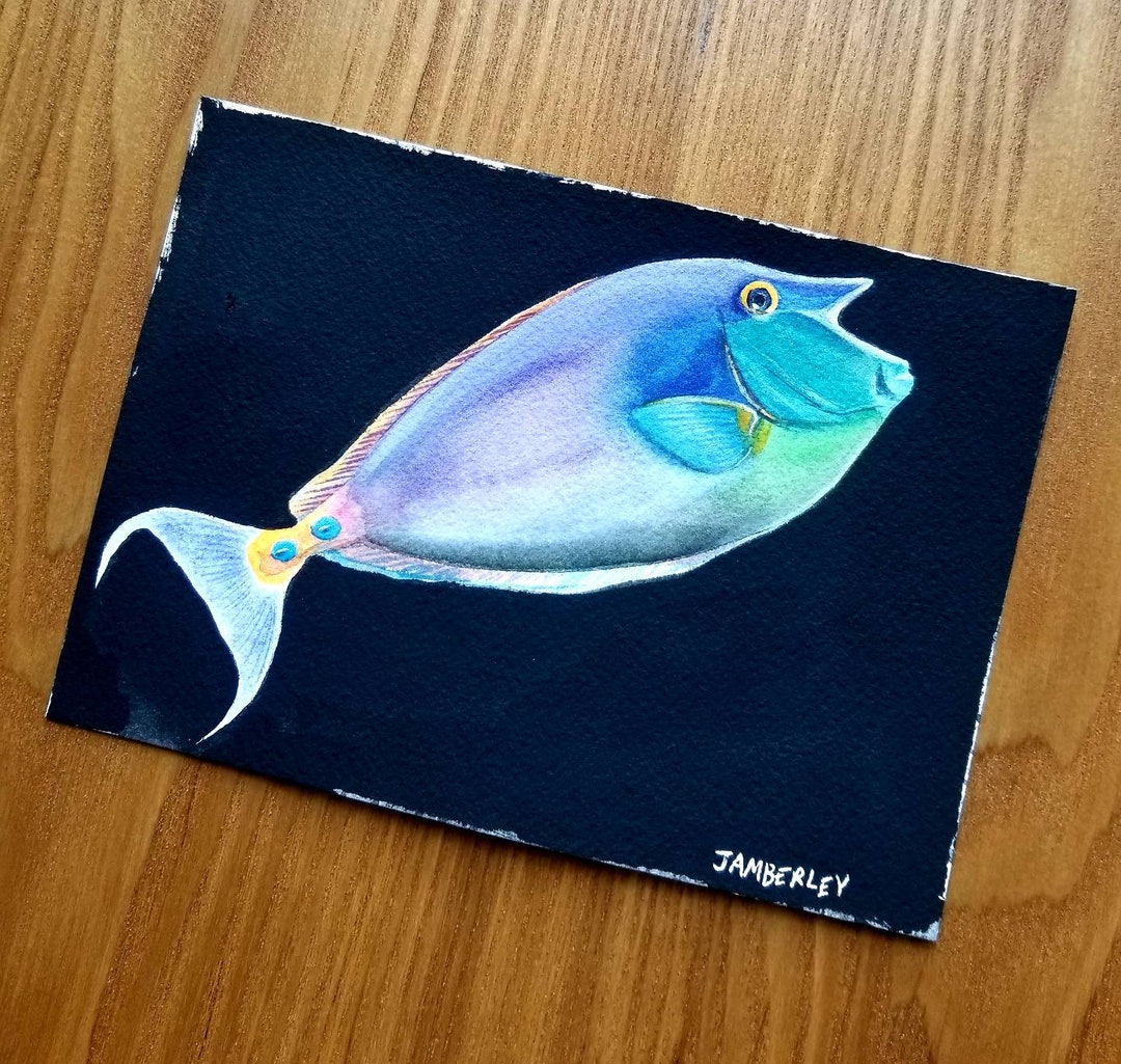 Original Rainbow Fish Watercolor Painting: Tropical Wall Art - Etsy