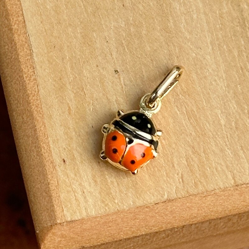 Small Ladybugs - Etsy