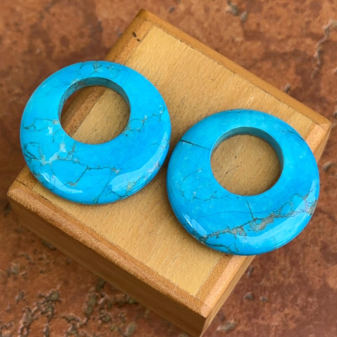 Genuine Howlite Blue Turquoise Color Gemstone Round Disc Donut Earring ...