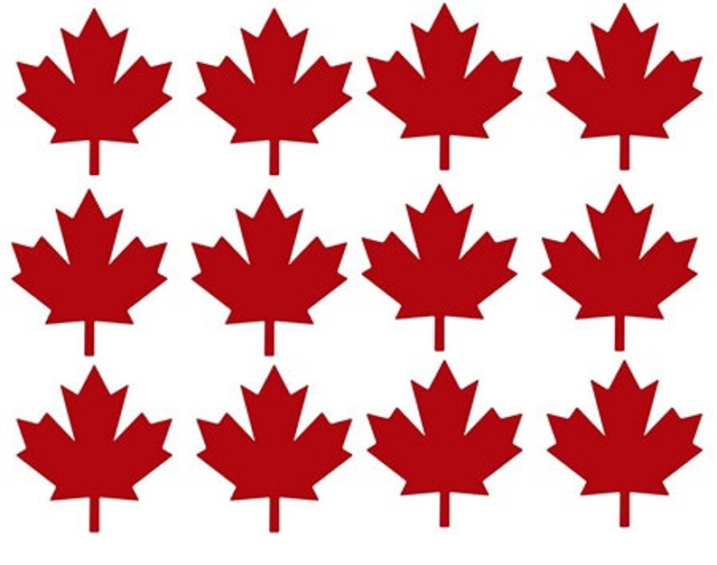 Set of 12 X Maple Leaf Vinyl Decals/stickers.canadian Maple - Etsy