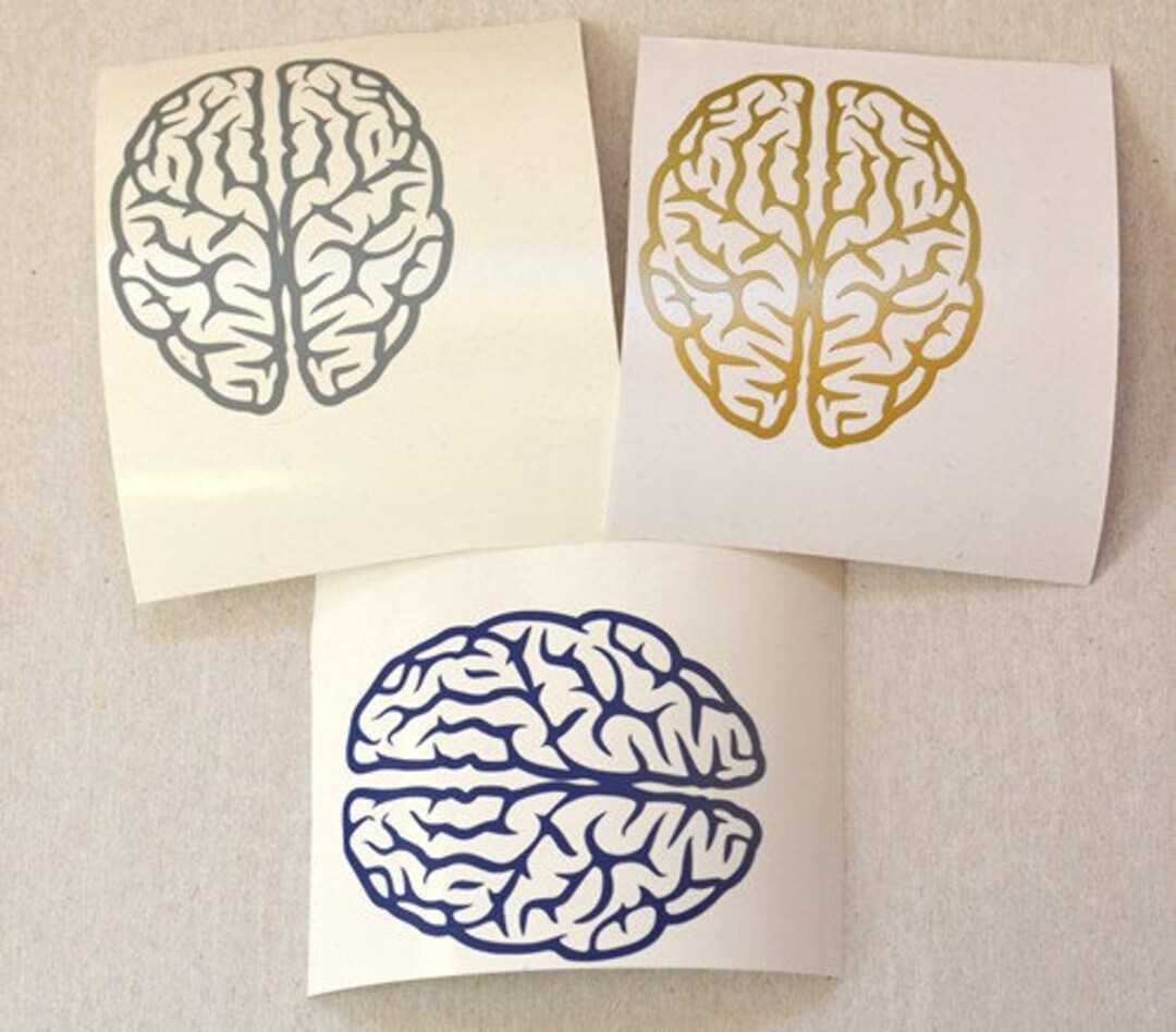 Brain Vinyl Decal. - Etsy
