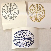 Beach Brain Sticker, MRI Coronal, Ocean Neuroscience Decal - Etsy