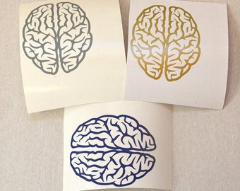 Labeled Brain Diagram Sticker Hand-drawn Anatomy Sticker Medical ...