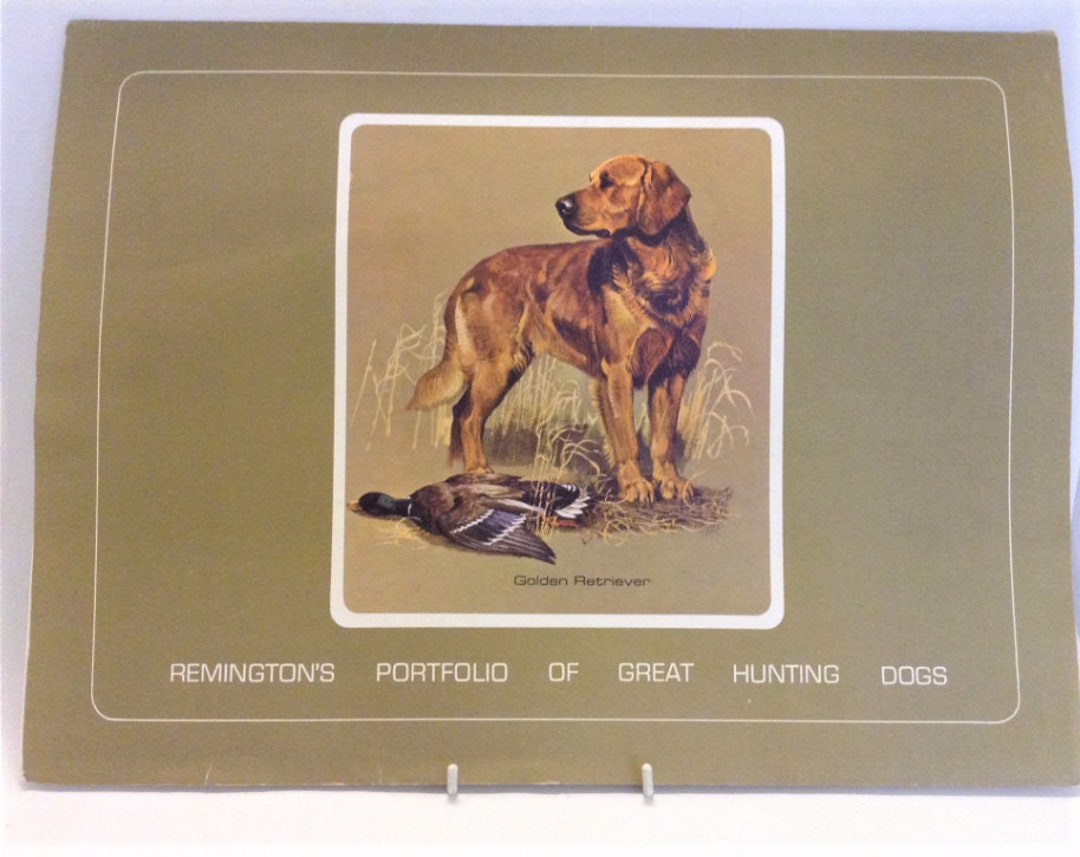 Remington Hunting Dogs Lithographs: Spaniel, Setter & Decoys Portfolio ...