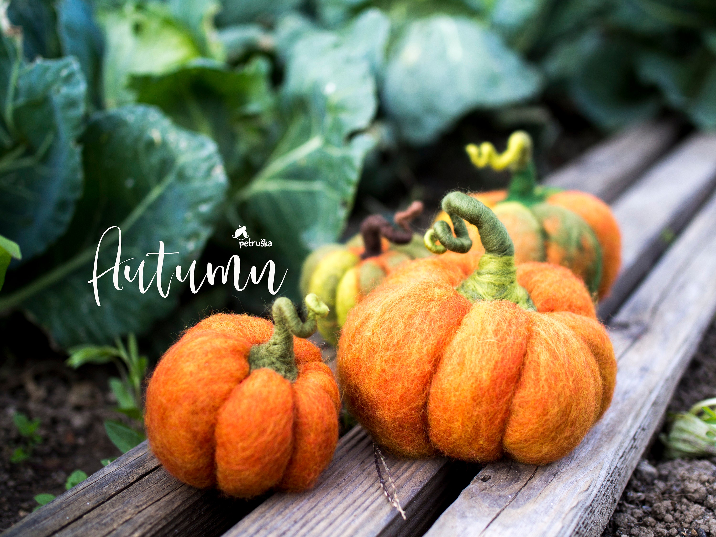 Wool Felt pumpkins Fall decor Autumn Decorations DIFFERENT | Etsy