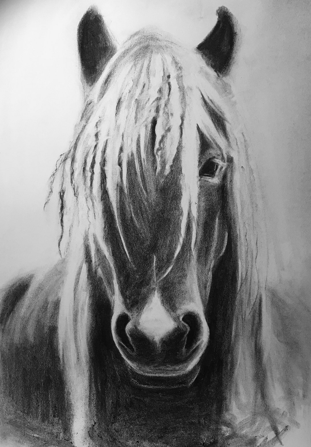 Beauty. Original Charcoal Drawing of a Horse. - Etsy