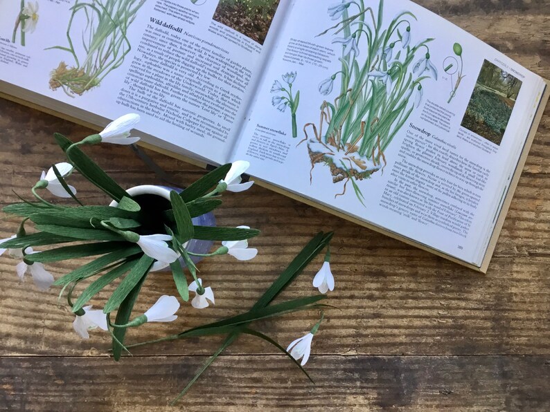 Crepe Paper Snowdrop Galanthus Flower | Etsy