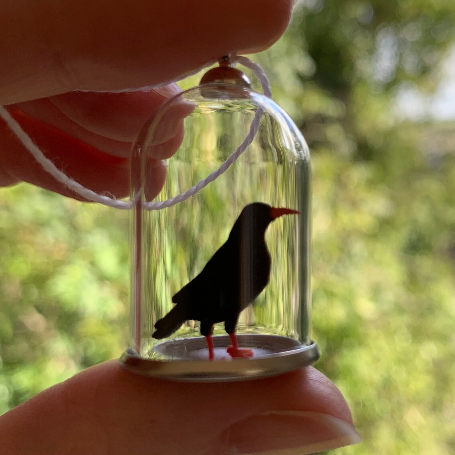 Cornish Flag Chough and Coat of Arms Miniature Hanging Glass - Etsy UK