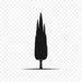 Cypress Tree SVG Nature Clipart, Black Silhouette, Cricut File, Vector ...