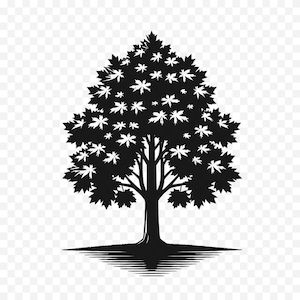 Maple Tree SVG Nature Clipart, Black Silhouette, Cricut File, Vector ...