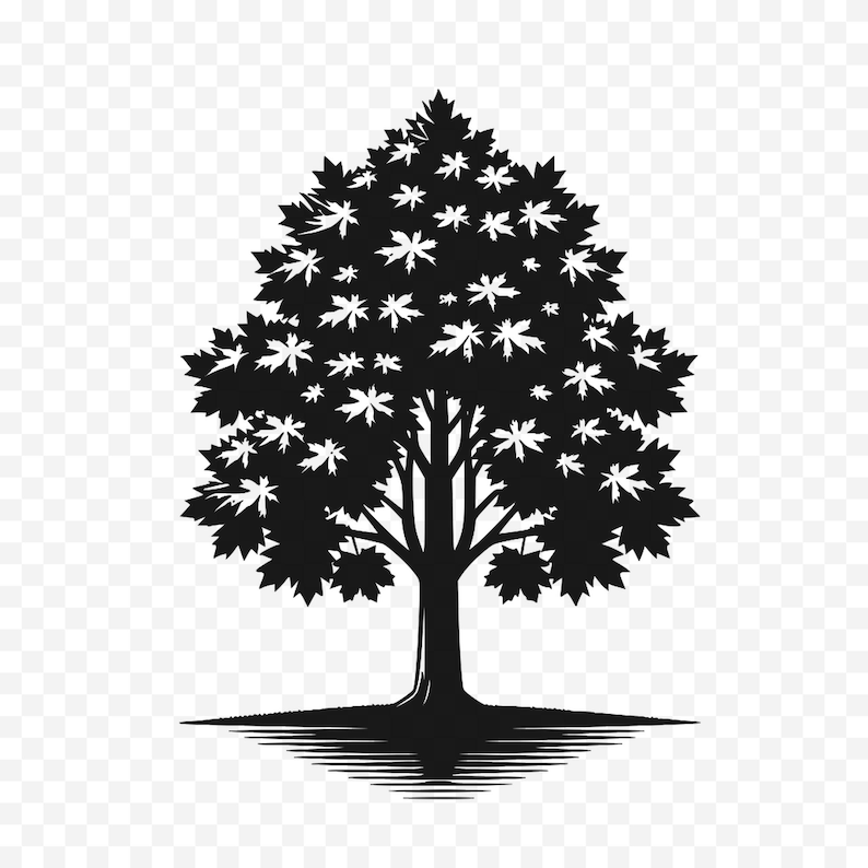 Maple Tree SVG Nature Clipart, Black Silhouette, Cricut File, Vector ...