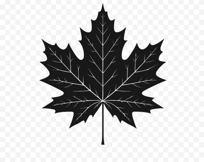 Maple Leaf SVG Autumn Illustration Maple Leaf Clipart Fall Graphic ...