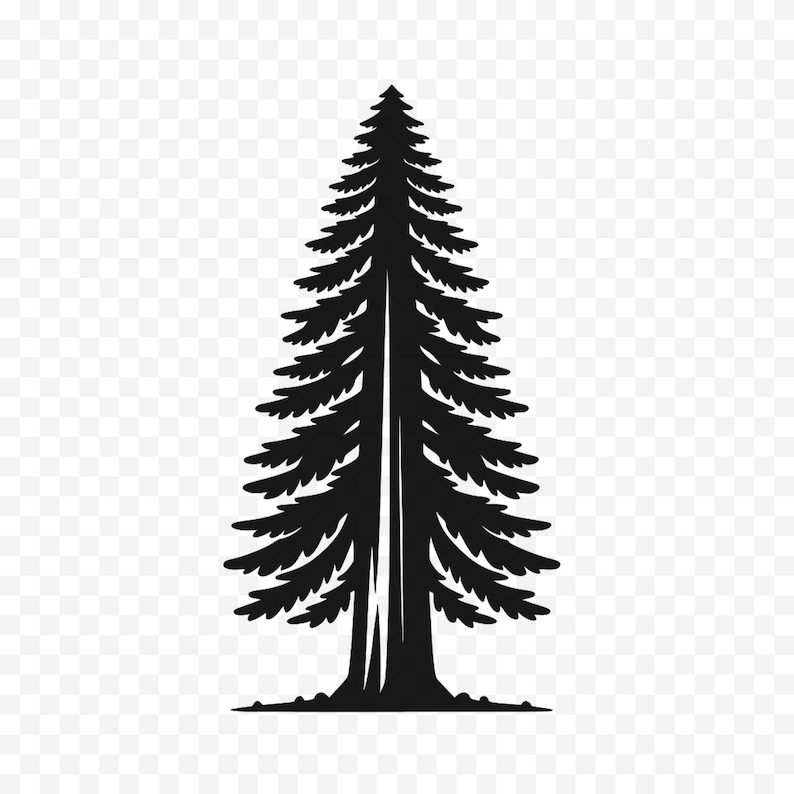 Redwood Tree SVG Nature Clipart, Black Silhouette, Cricut File, Vector ...