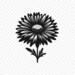 Aster Flower SVG - Botanical Clipart, Black Silhouette, Cricut File ...