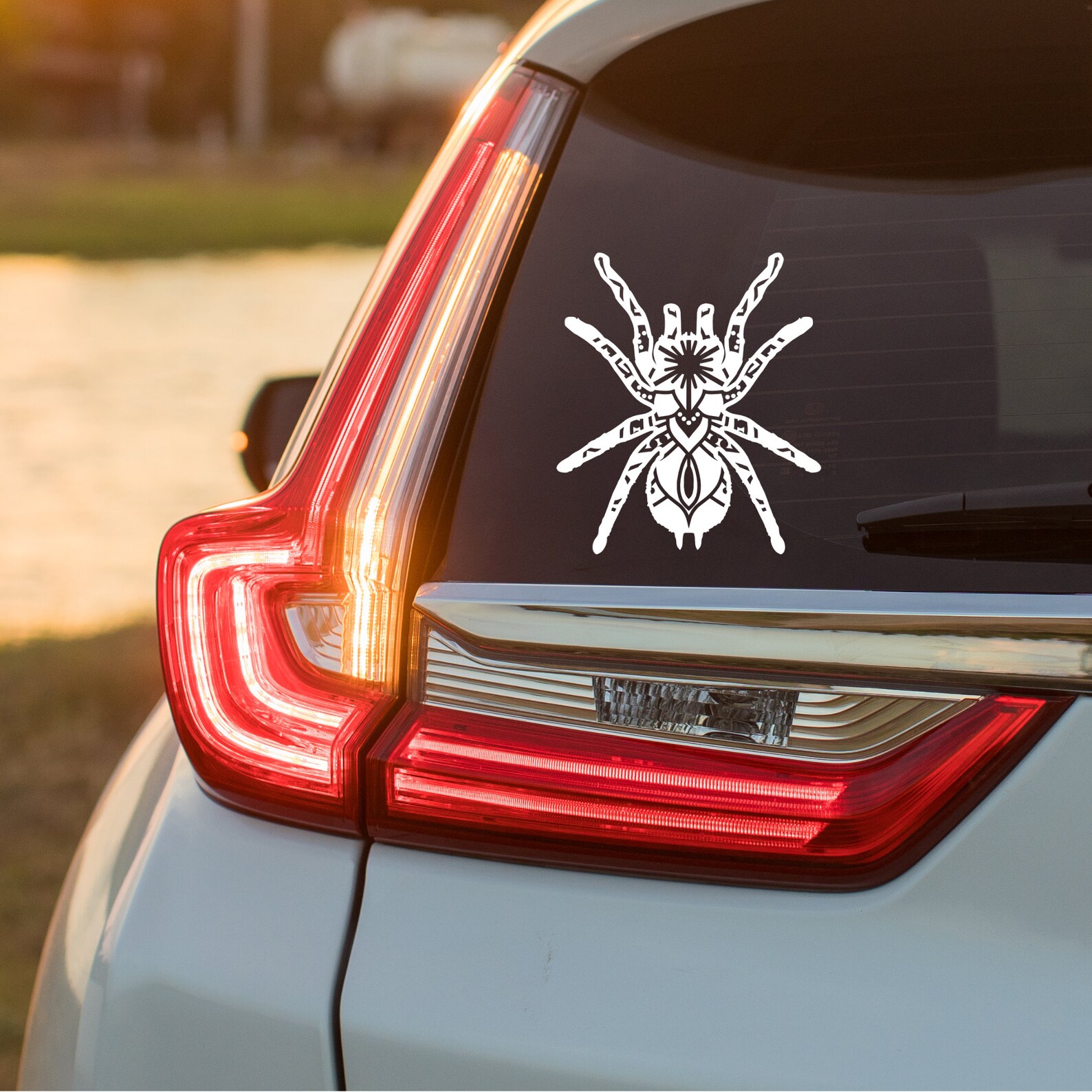 Set 1 Tarantula Mandala Car Window Decals - Set 1 - Etsy