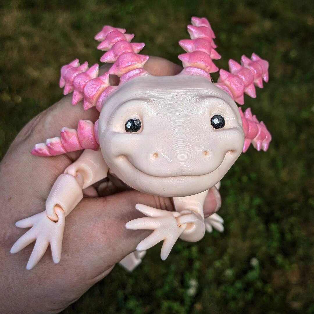 3D Printed Axolotl - Basic Colors - Etsy