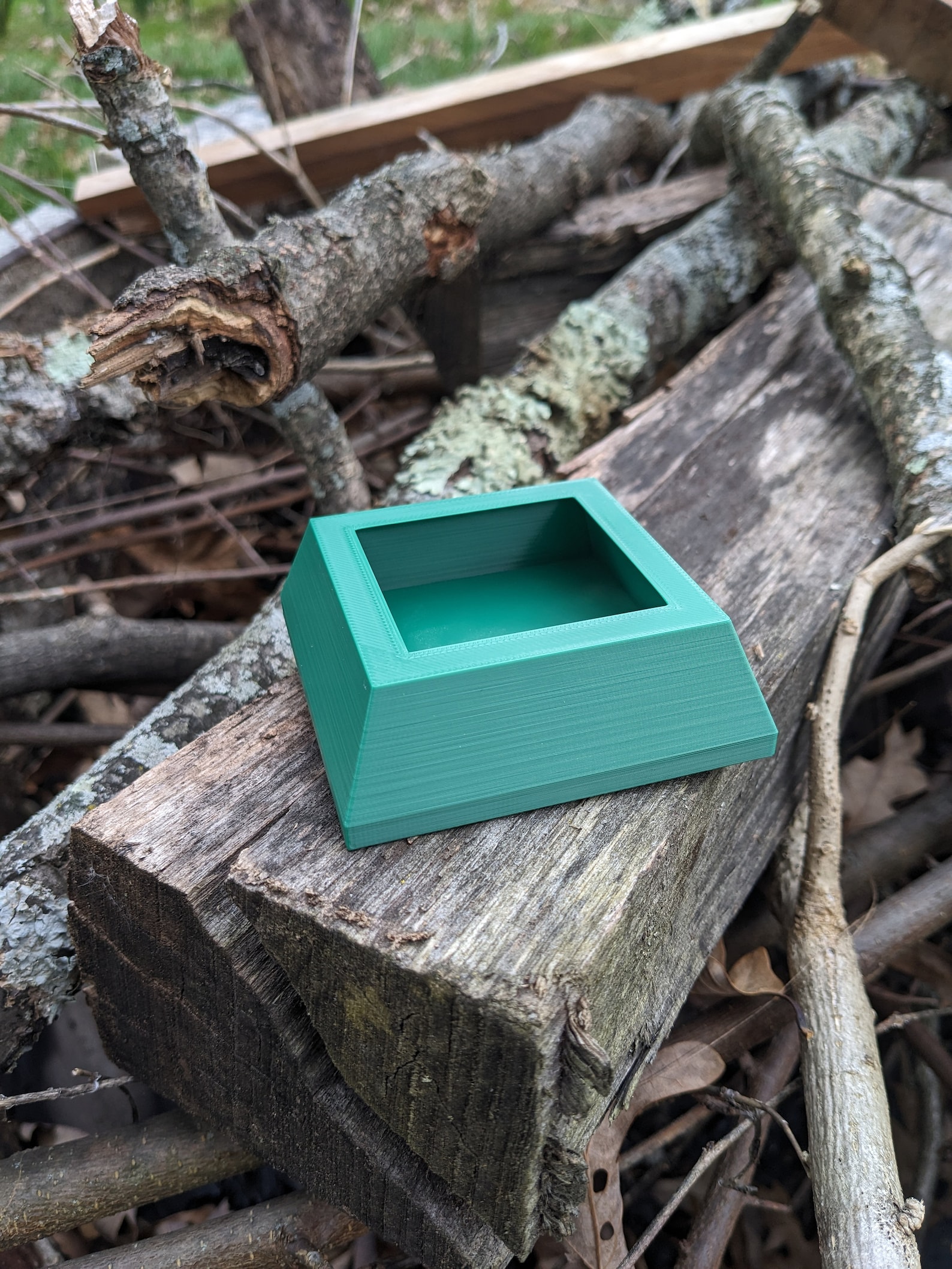 One Square Mealworm Dish - Specialty Colors - Etsy
