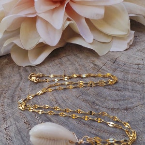 White Cowrie Shell Necklace. White Shell Necklace. Natural Cowrie ...