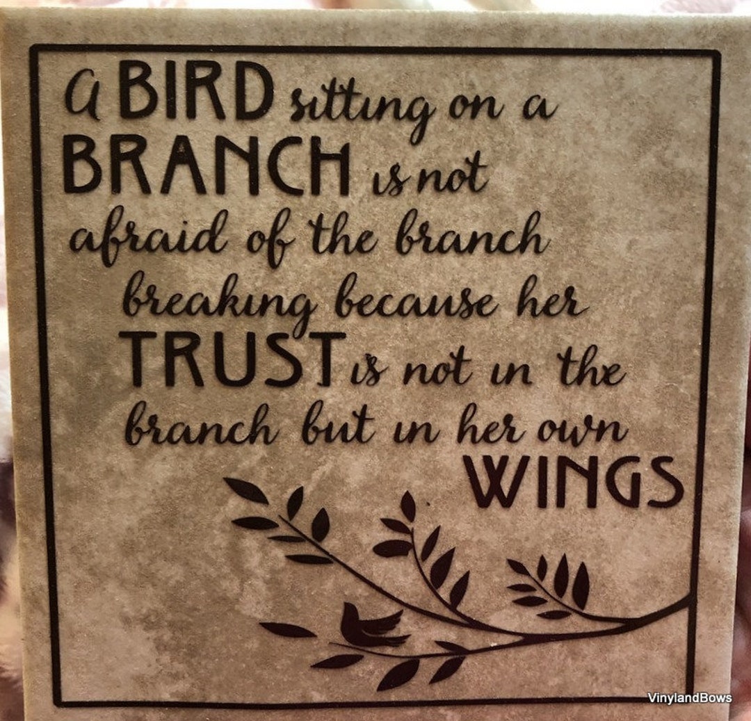 A Bird Sitting on a Branch is Not Afraid of the Branch Breaking Because ...
