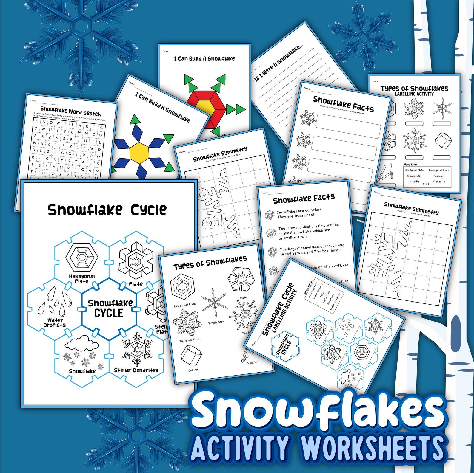 Snowflake Activity Pack - Etsy