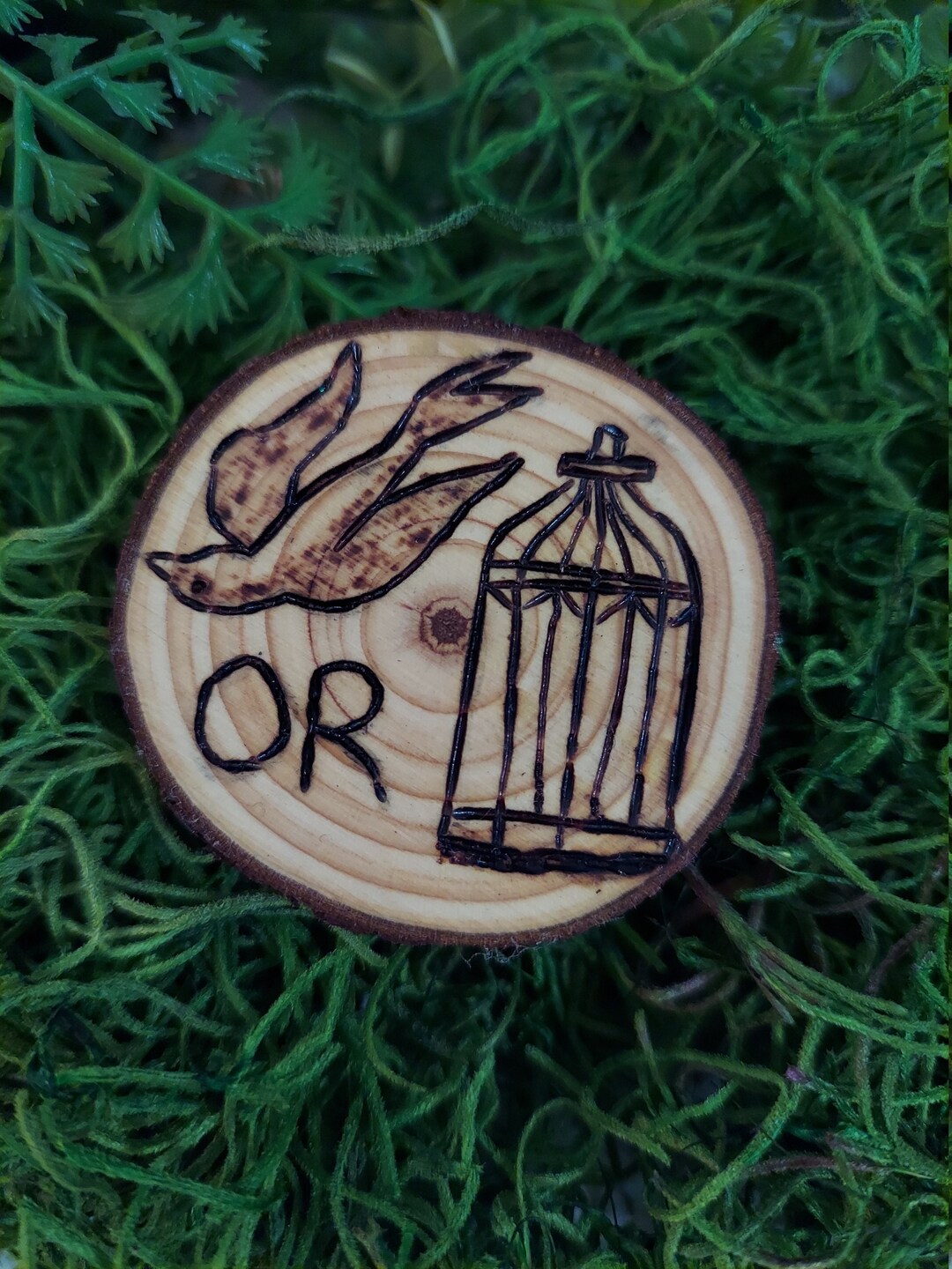 Bioshock Infinite Bird or Cage Wood Burned / Pyrography Magnet - Etsy