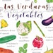 A3 Bilingual Poster, Vegetables, Verduras, Spanish, English ...