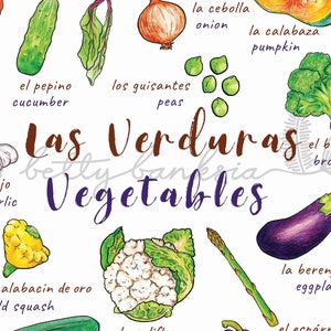 A3 Bilingual Poster, Vegetables, Verduras, Spanish, English ...