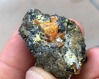 Discover Something Unique at Exotic Crystals by ExoticCrystals