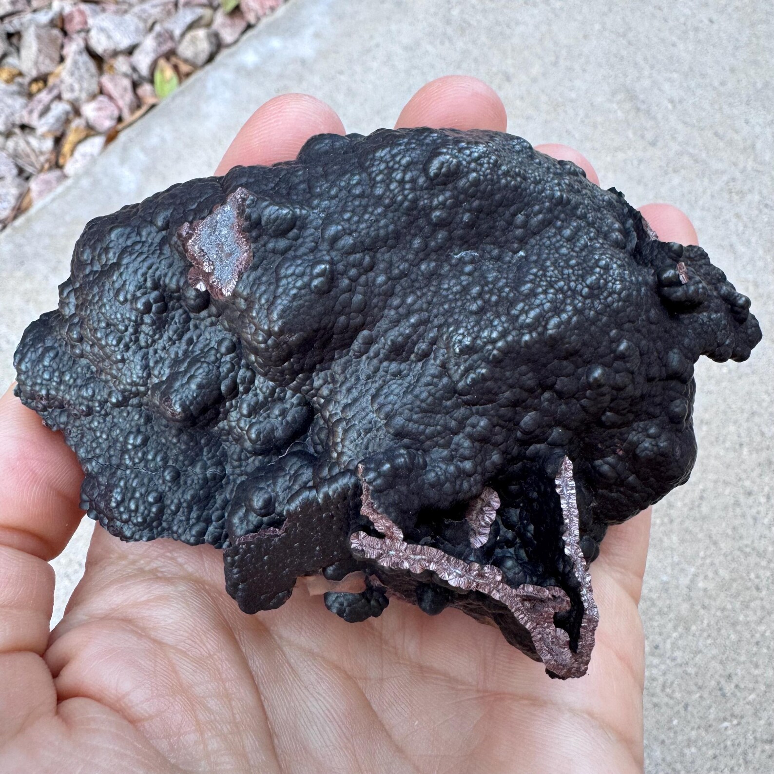 Rare 4” Dense Botryoidal Hematite Crystal Cluster 340g Mineral Specimen ...