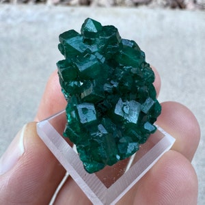 Rare 1.2” Gem Dioptase Crystal Cluster 14.5g Mineral Specimen - Mindouli, Congo - Item:dio24040 ...