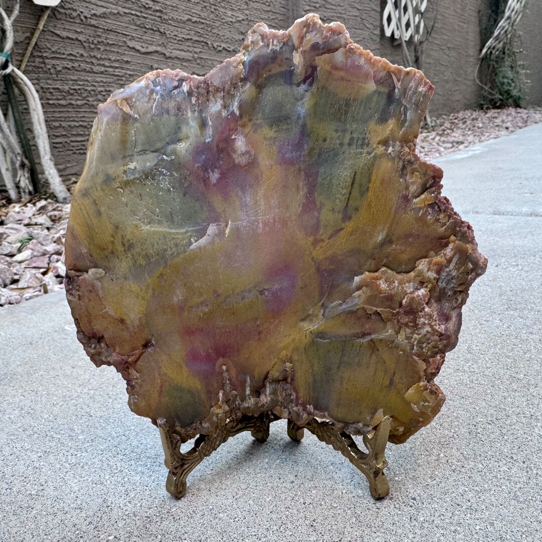 Rare 6.5 Large Raw Arizona Agatized Petrified Wood Fossil Slab With ...