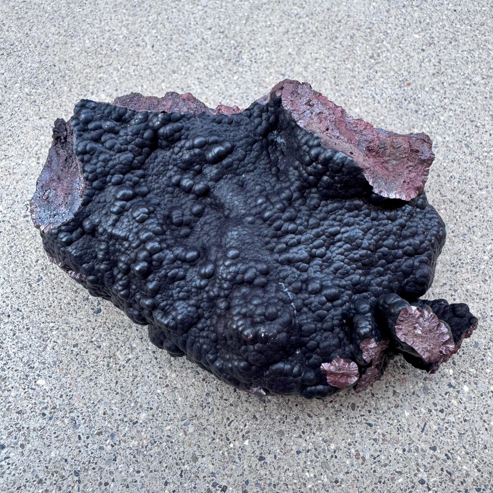 Rare 4” Dense Botryoidal Hematite Crystal Cluster 340g Mineral Specimen ...