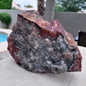 Rare 22lb Giant Raw Arizona Agatized Petrified Wood Fossil Centerpiece ...