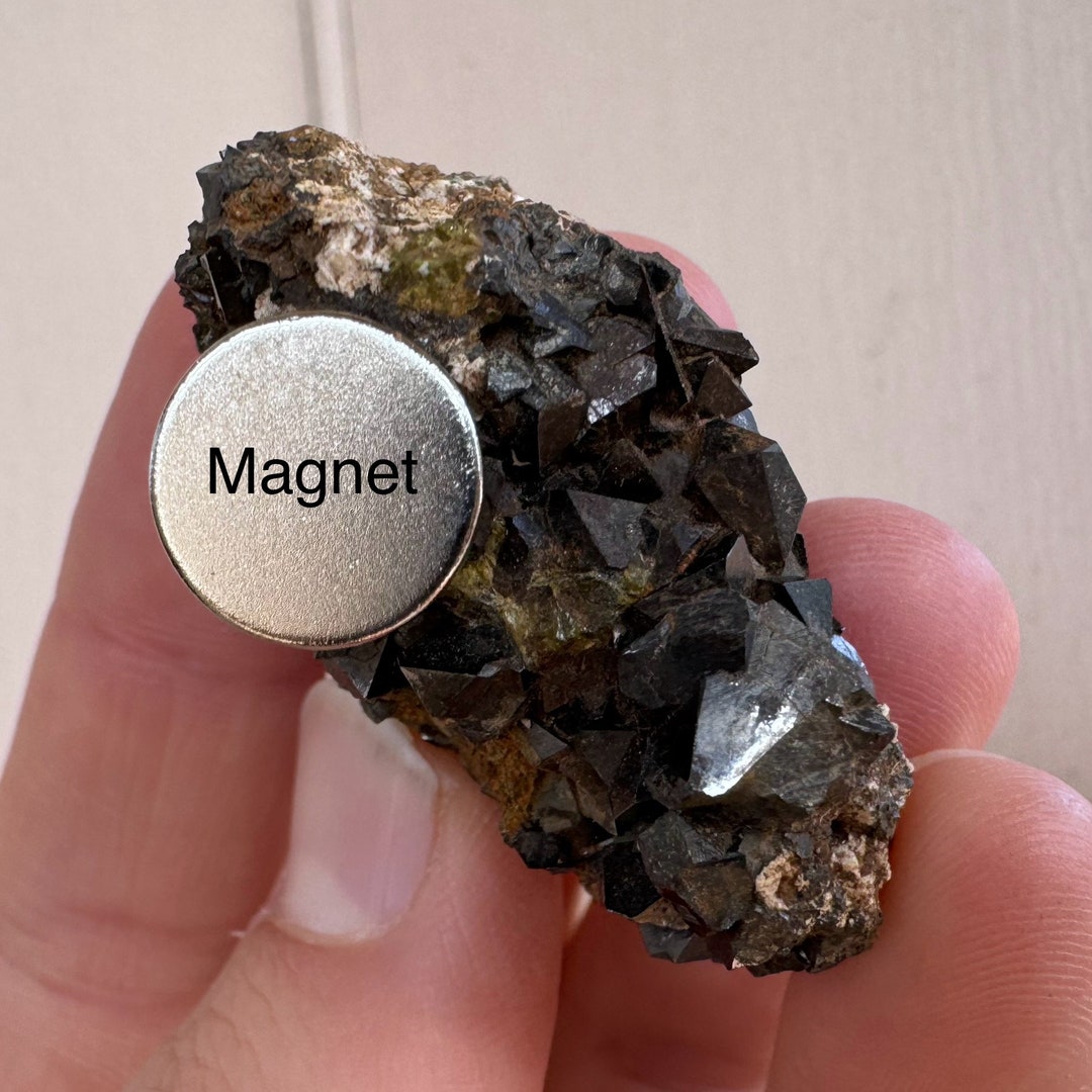 Rare 1.7 Magnetite on Quartz With Magnetite Inclusions Crystal Cluster ...