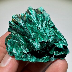 Rare 2” Fibrous Green Malachite Crystal Cluster 92g Mineral Specimen ...