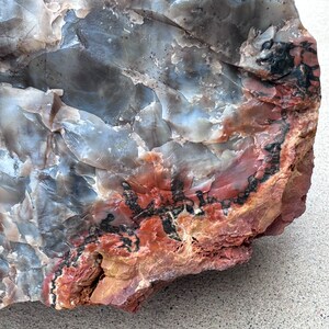 Rare 22lb Giant Raw Arizona Agatized Petrified Wood Fossil Centerpiece ...