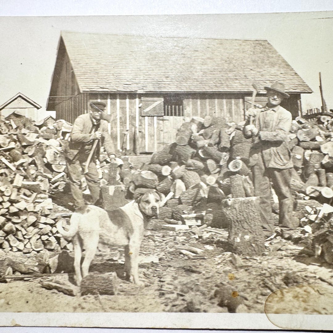 Rare Antique Outdoor Photograph Men Chopping Wood and Foxhound Dog ...